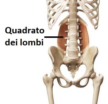 Dolore alla schiena: lombalgia, Impara a decontrarre il quadrato dei ...